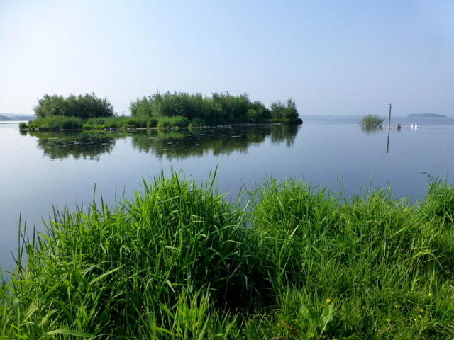 Who speaks for the Lough? An All-Island Better Democracy Network and ...